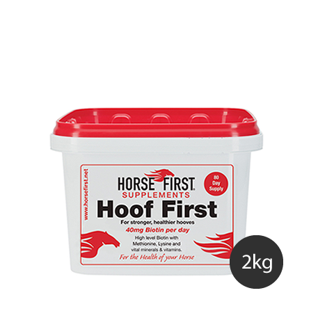 Horse Supplements – Horse First